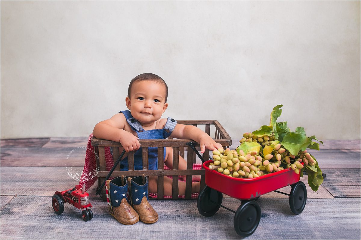 Baby Nolan is Six Months Old | Bakersfield Baby Milestone Photographer ...